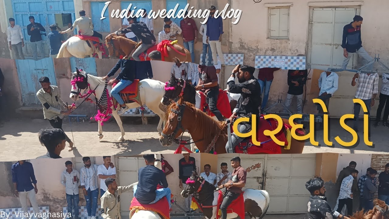 varghodo || gujarat wedding || varghodo|| horseraiding || વરઘોડામાં ...