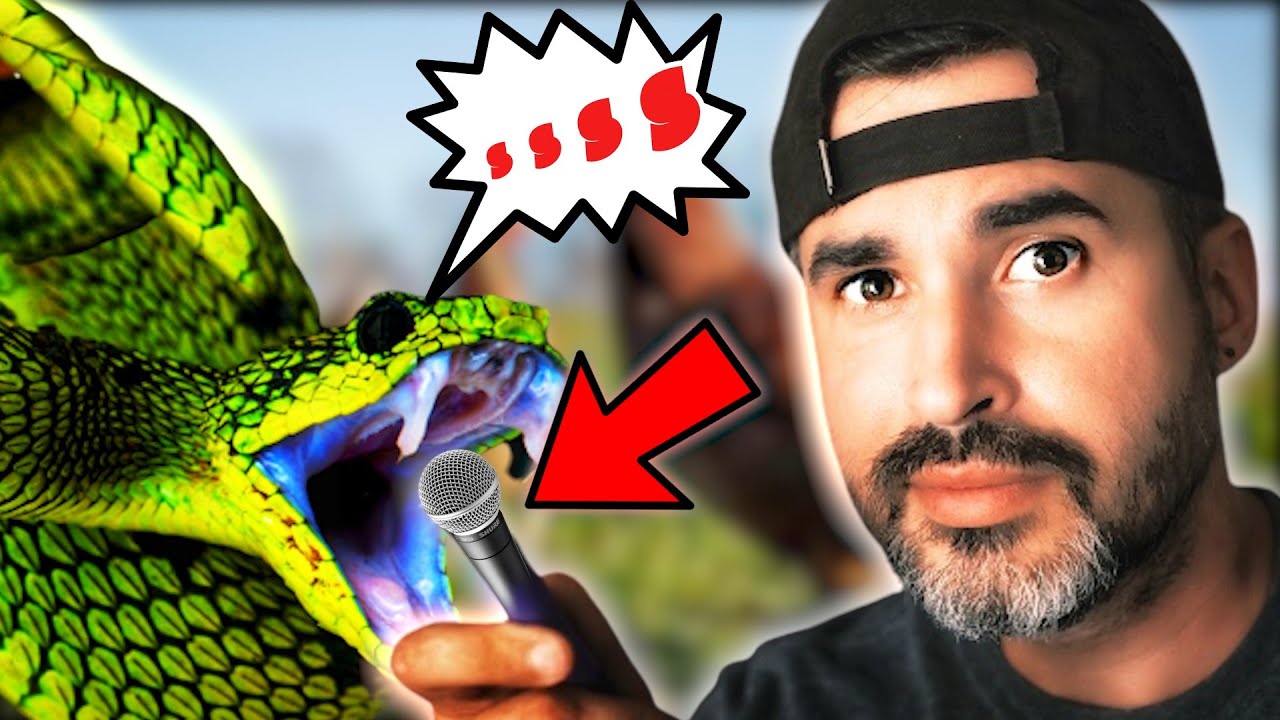 J'INTERVIEWE DES ANIMAUX AVEC UN TOUT PETIT MICRO ! - YouTube