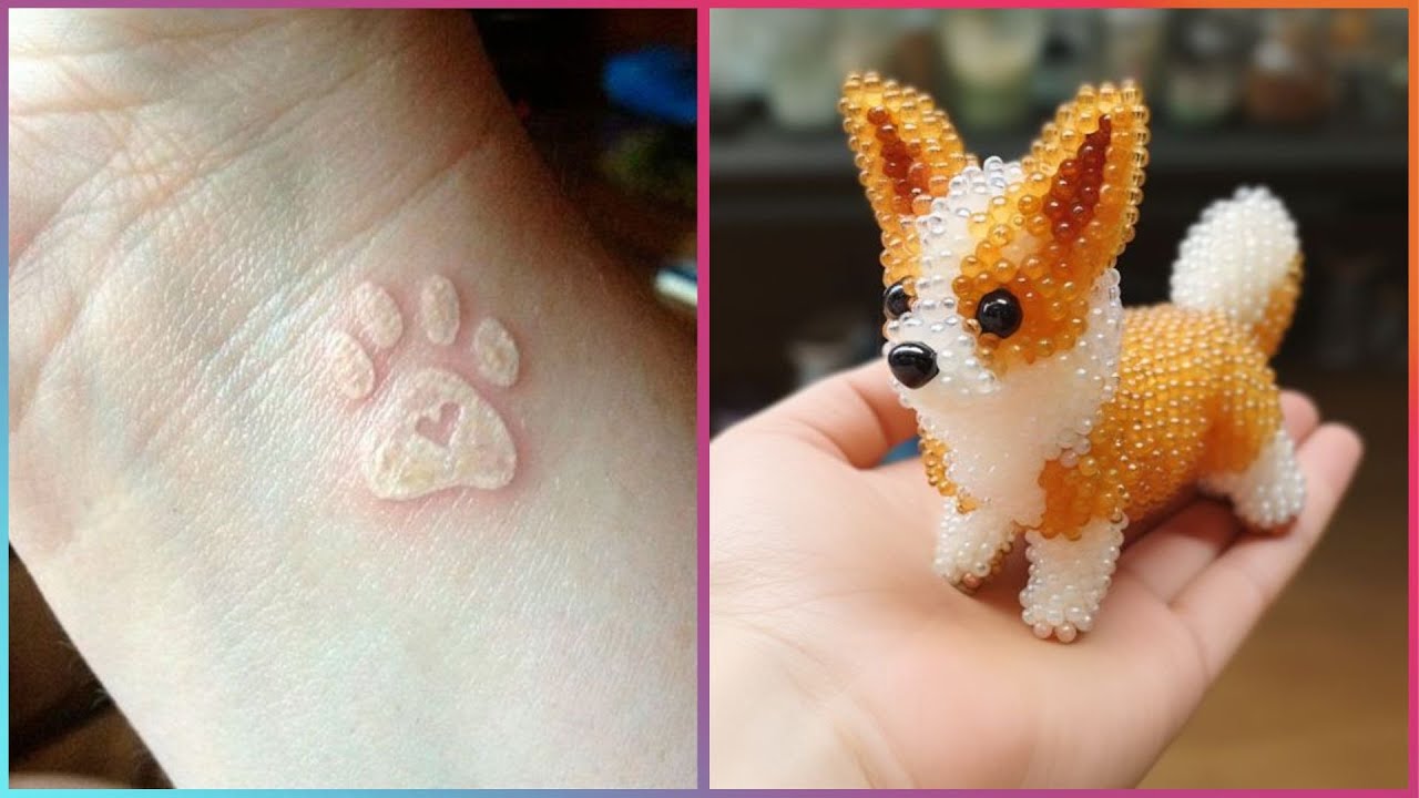 Creative Pet-Inspired Ideas That Are At Another Level 2 - YouTube