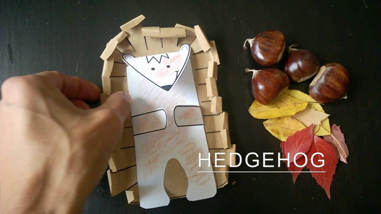 Hedgehog - paper model - YouTube