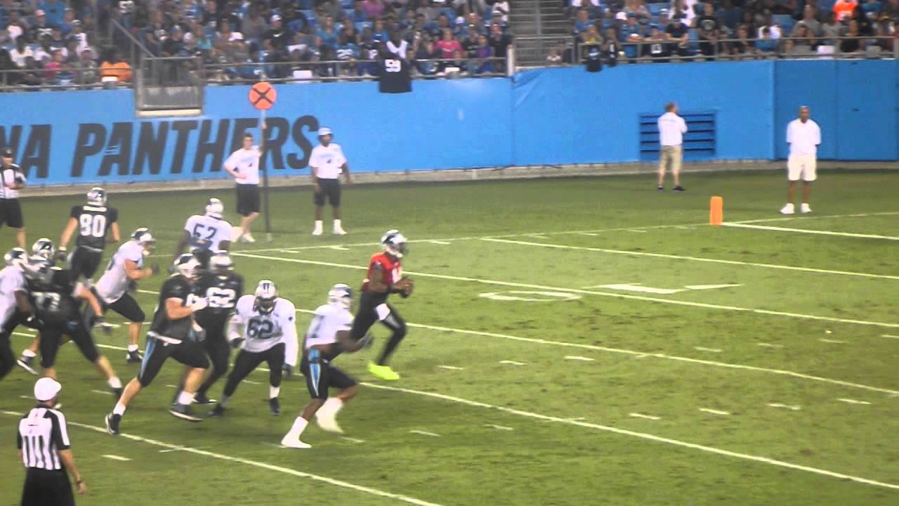 QB Joe Webb runs for Touchdown - Carolina Panthers - YouTube