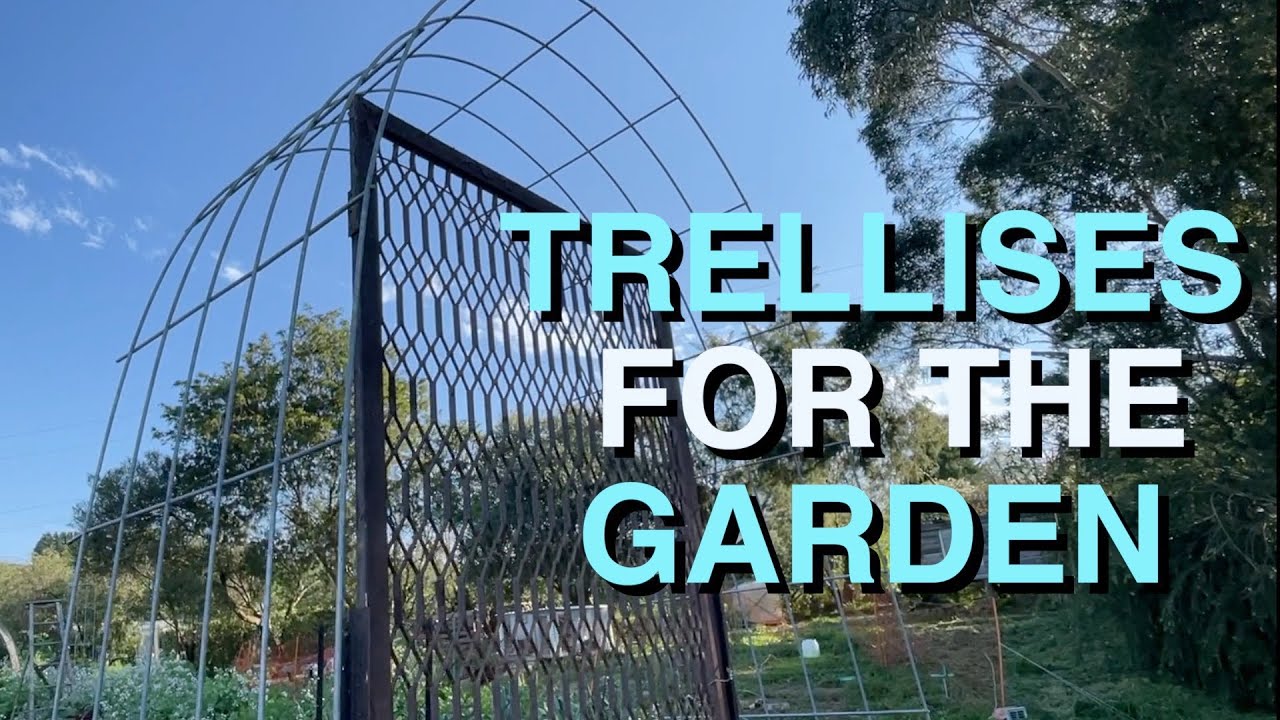 Six New Trellises from Old Materials for my Permaculture Vegetable Garden - YouTube