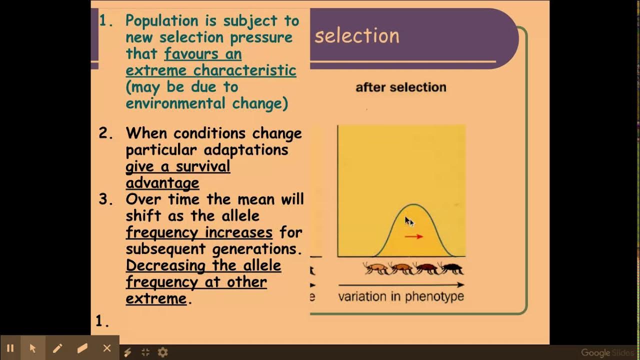 6.1.2 Patterns of inheritance e) Stabilising and Directional selection ...