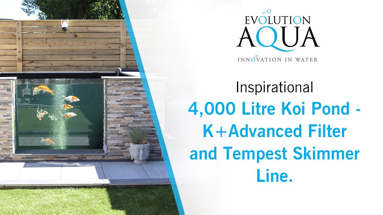 4000 Litre Self Build Koi Pond - Evolution Aqua Pressure Filter and ...