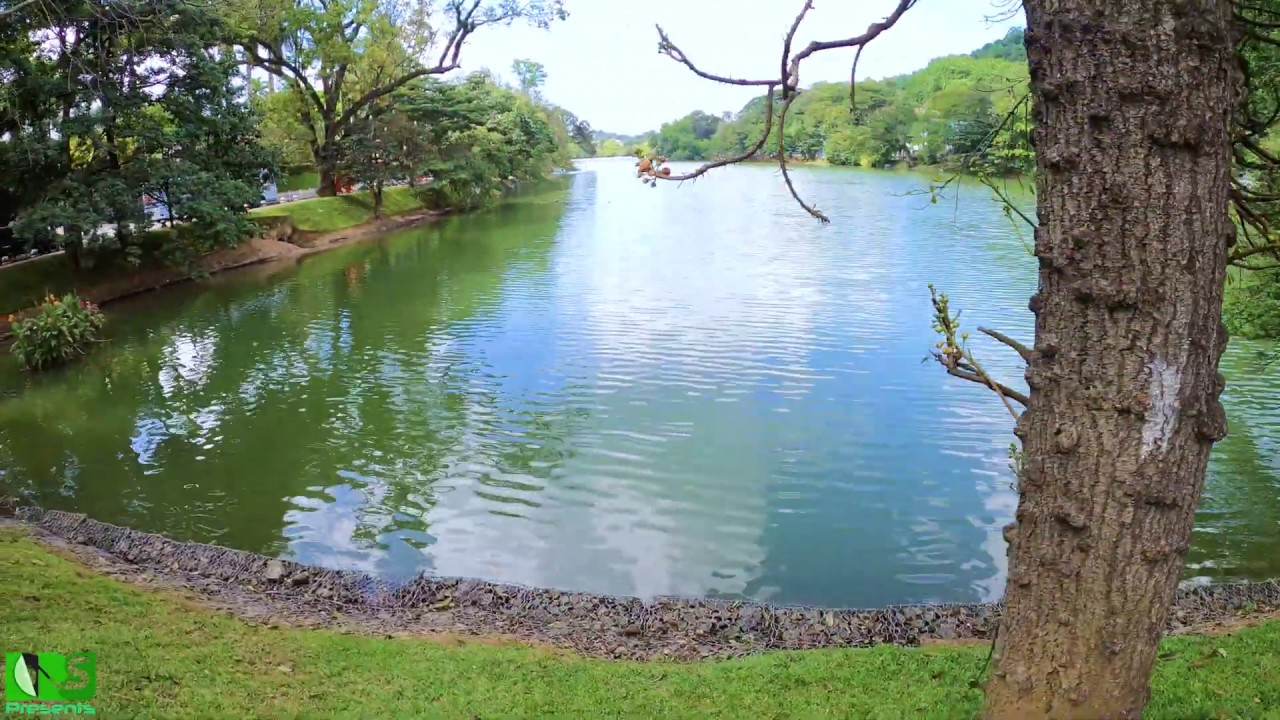 A Relaxing Walk in the Streets - Nature Relaxation Video - YouTube