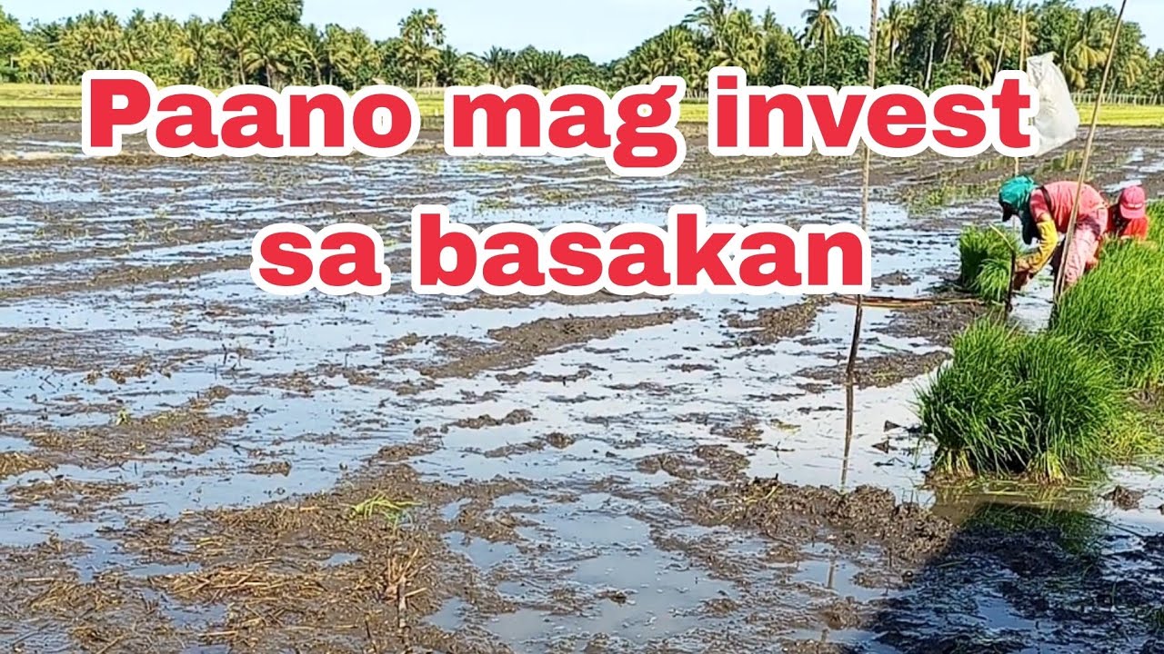 Paano mag invest sa basakan - part 1 @LouracsTv - YouTube