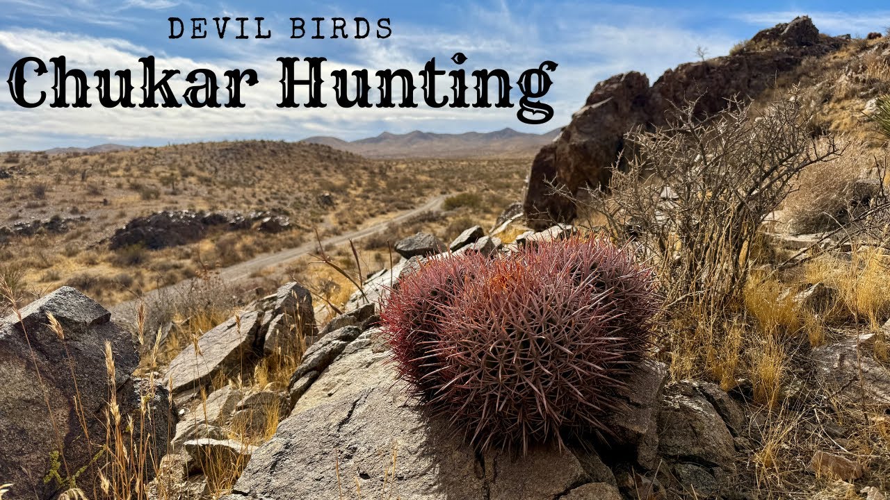 Chukar Hunting in Southern California: Thrilling Pursuit in Rugged ...