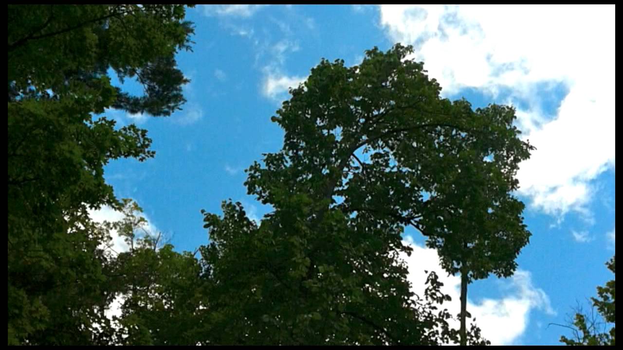 Two Line Filler - Life Isn't Fair - YouTube