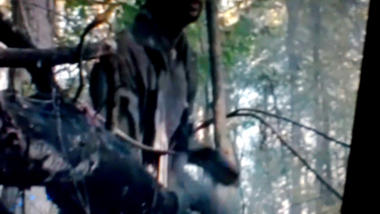 Carl gets bit by a walker season 8 episode 6 - YouTube