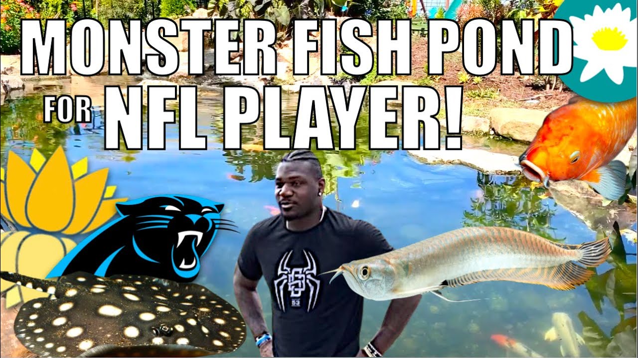 FISH POND for NFL PLAYER with Pondscapes of Charlotte! 🔥🏈 - YouTube