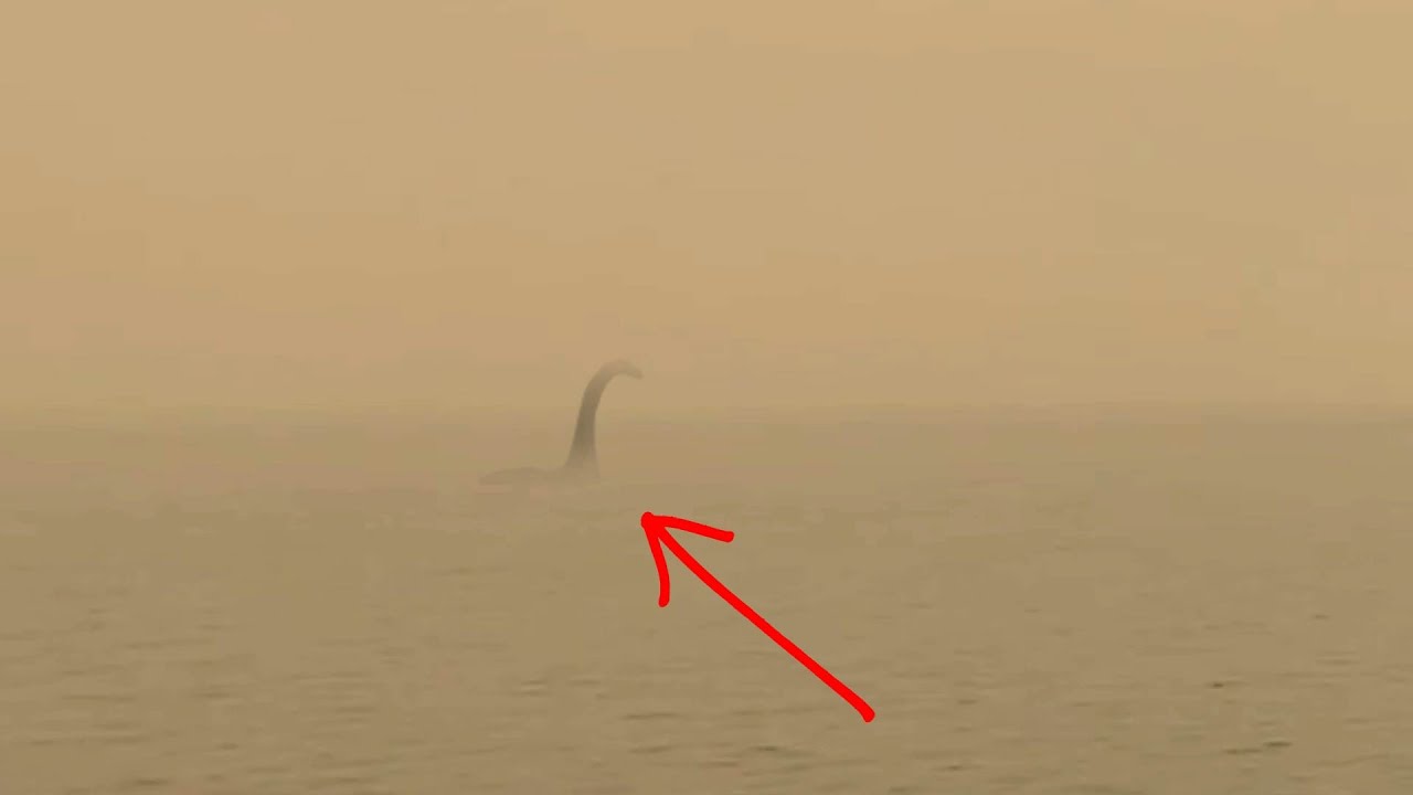 Afanc lake monster sighting near Betws-y-Coed - Welsh mythology - YouTube