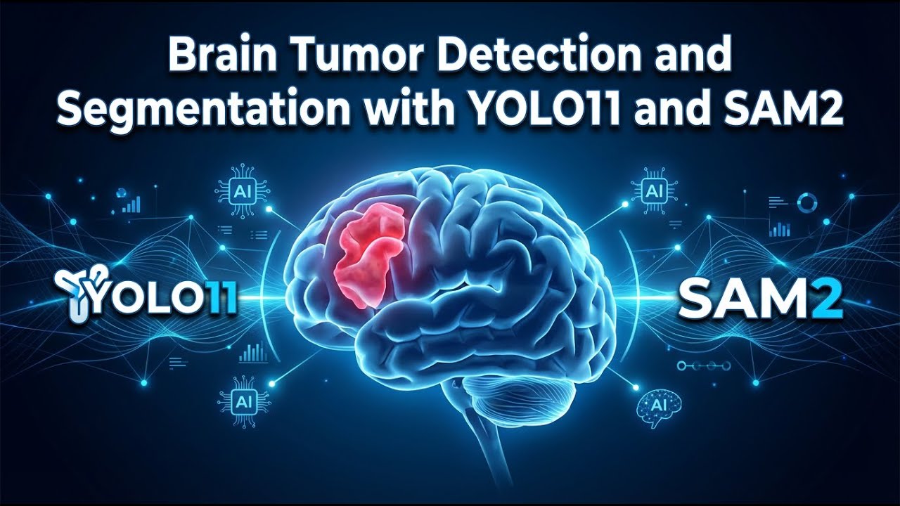 Brain Tumor Detection and Segmentation with YOLO11 and SAM2 | Code Explanations | Himel Sarder ...