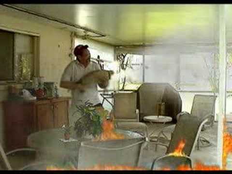 THE CAT GAT - EPISODE I - YouTube