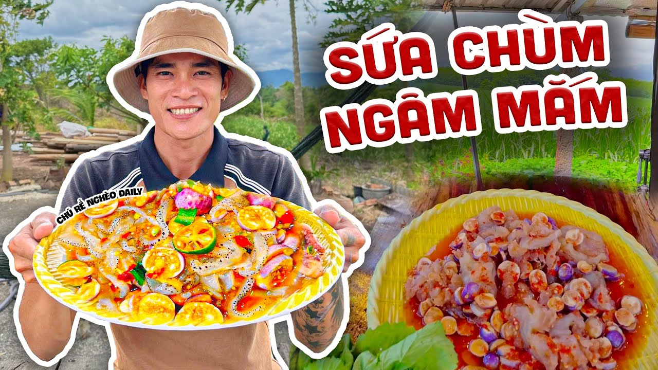 Cùng Vợ Chồng Mình Mukbang Món Sứa Chùm Ngâm Mắm Nha | Chú Rể Nghèo ...