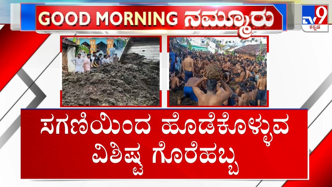 Villagers Celebrate Unique Post-Diwali Festival By Throwing Cow Dung In ...