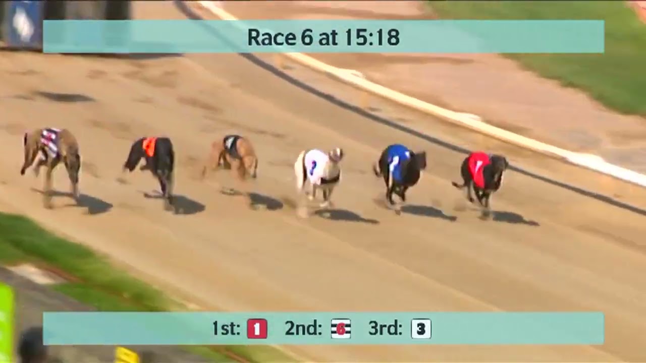Monmore Greyhounds Races on 21st June 2022 - YouTube