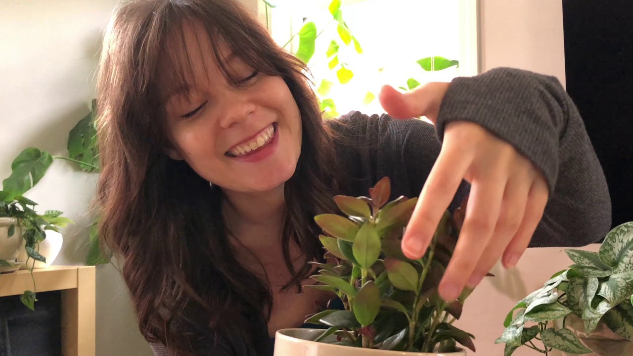 May Plant Haul - ASMR whispering, tapping, rambling - YouTube