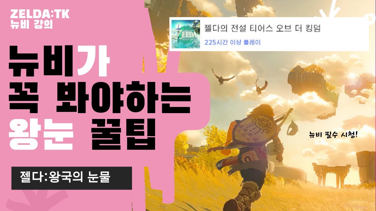 젤다 왕눈 왕눈을 시작하기전 당신이 꼭 봐야하는 영상 200시간 해본 사람이 알려주는 왕눈 꿀팁 Youtube