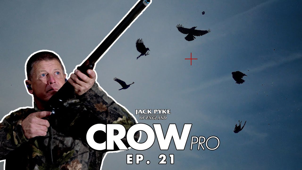 Shooting crows and jackdaws in the afternoon | CROWpro EP 21 | Natural ...
