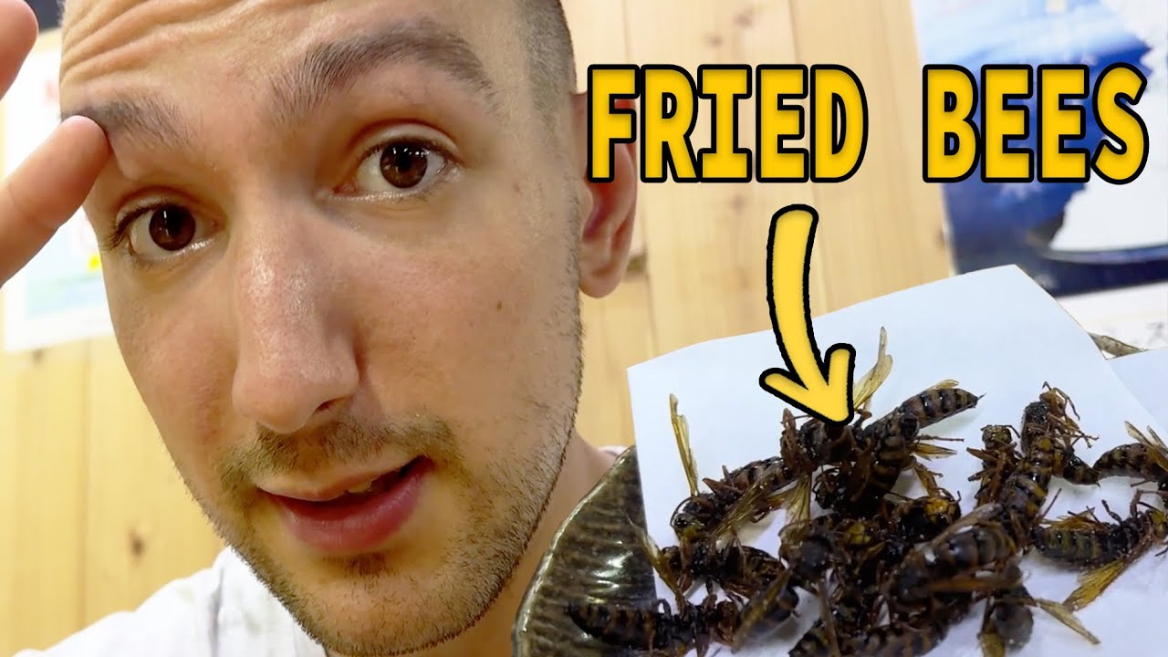 WE ATE FRIED BEES! - YouTube