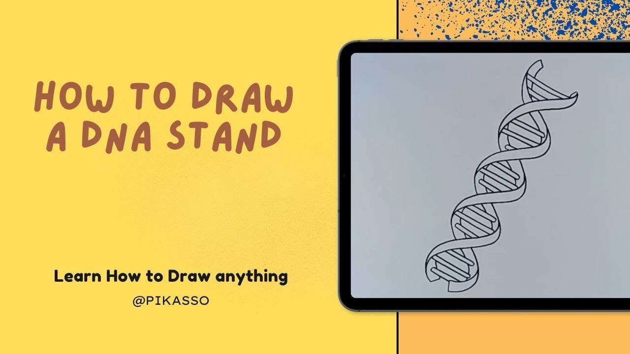 How to Draw a DNA Stand - YouTube