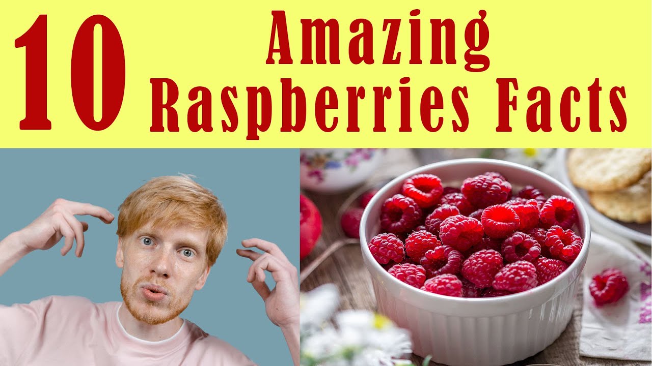 10 amazing facts about raspberries! - YouTube