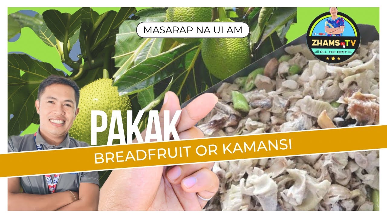 Ginataang pakak/Kamansi/Breadfruit Ulam na swak na swak! #zhamsTv #food ...