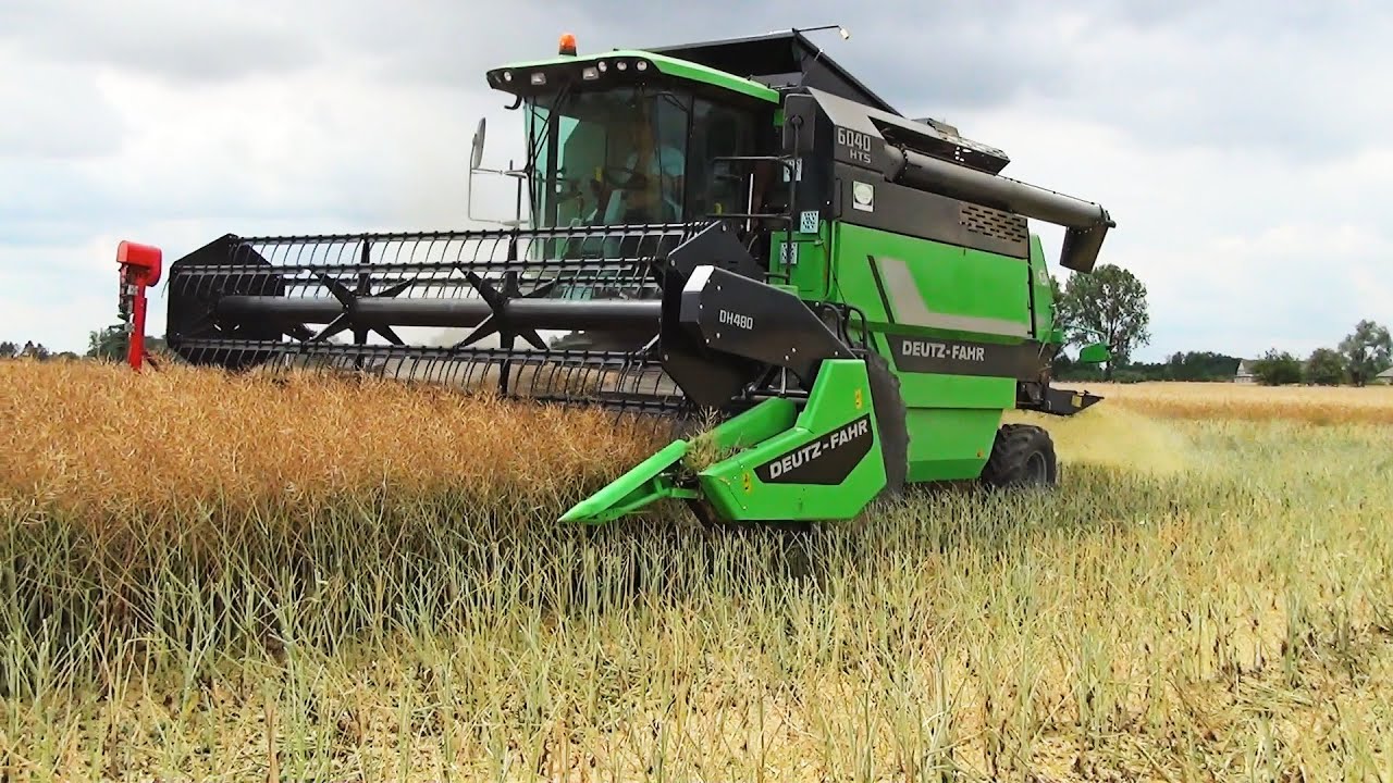 Nowy nabytek 2015 w akcji - Żniwa Rzepakowe - Deutz Fahr 6040 HTS - YouTube