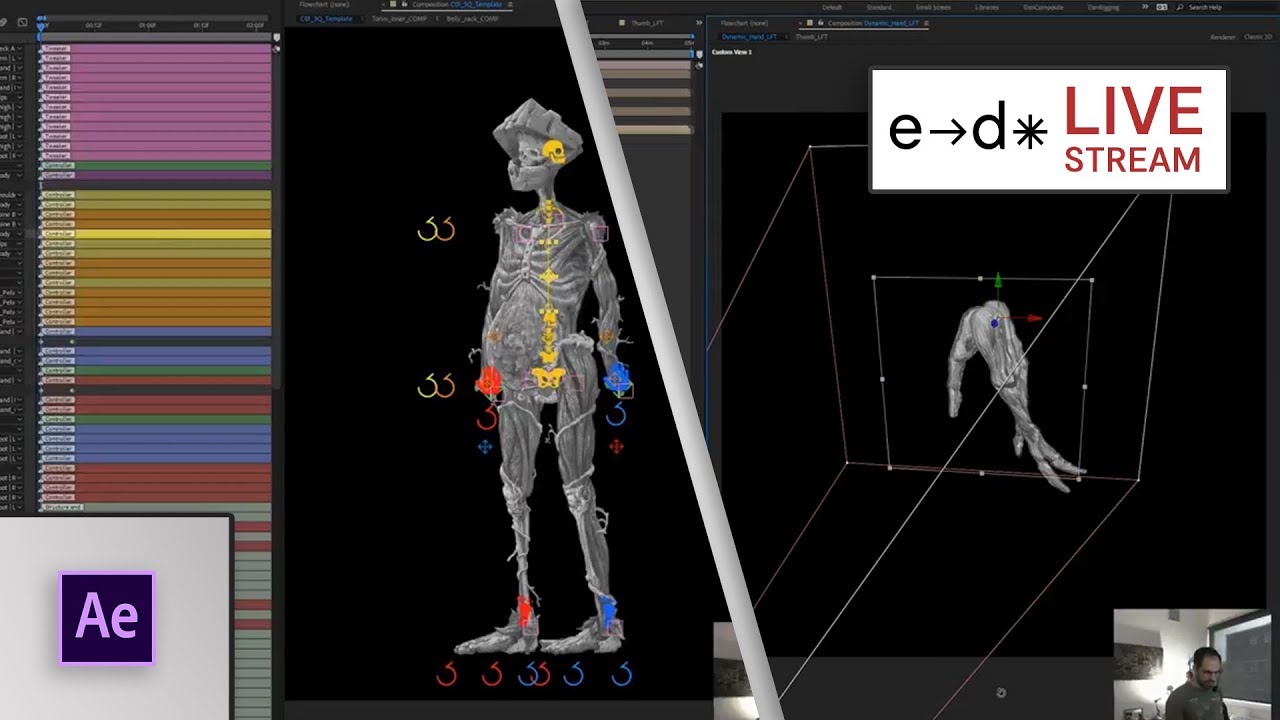 Live Stream : Rigging Pose-able Character Hands in After Effects - YouTube