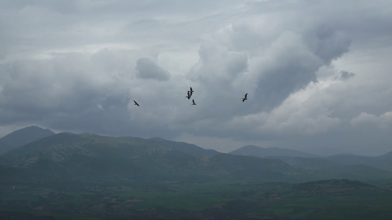 Η μπαλάντα του Ούρι (Διασκευή) - YouTube