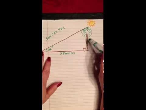 Right triangle word problem: a tree and its shadow - YouTube