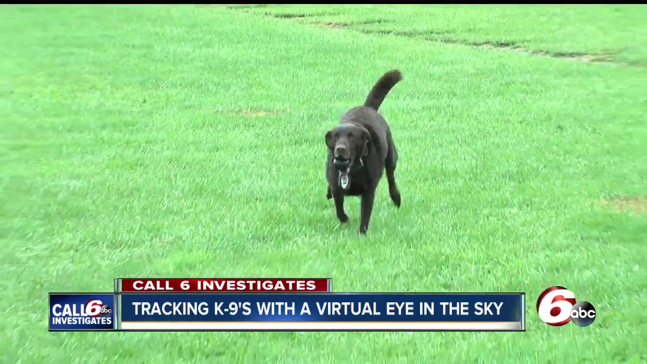 Few Indiana police departments use GPS tracking for K9 officers - YouTube