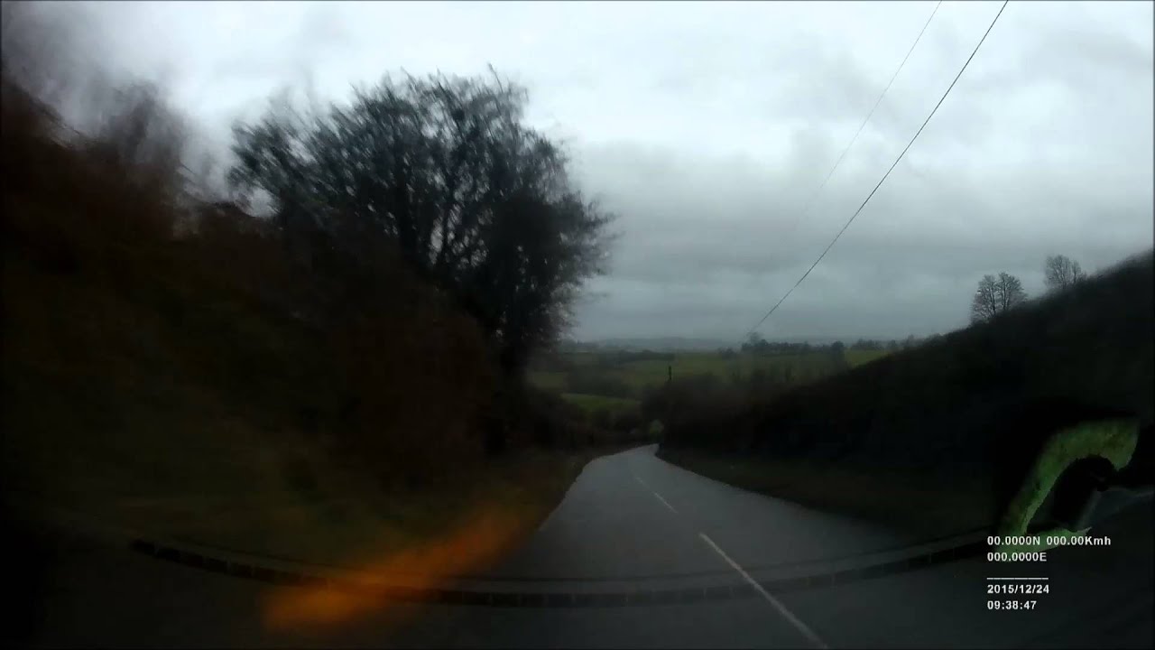 West Country Pheasant Roadkill - YouTube