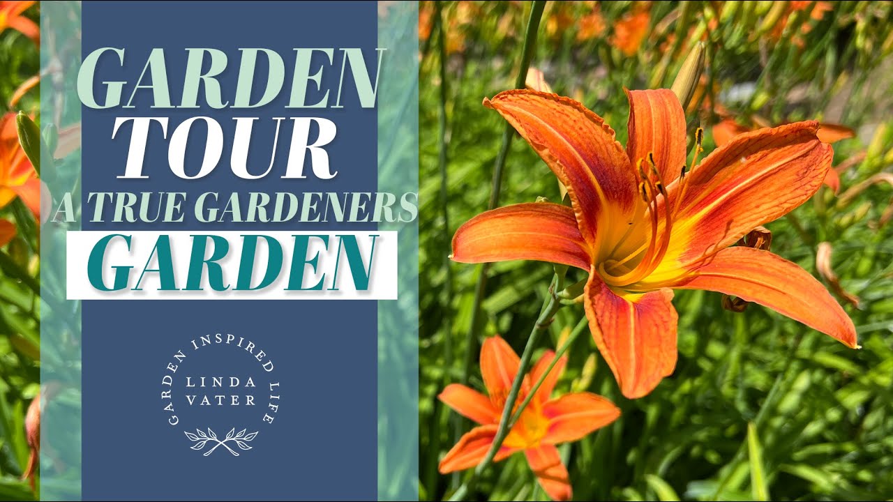 GARDEN TOUR: A True Gardener’s Garden - YouTube