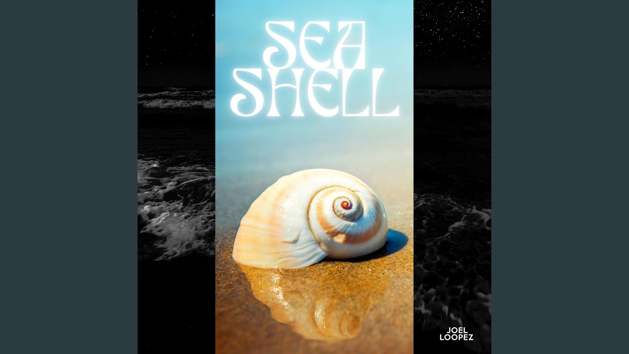 Seashell - YouTube