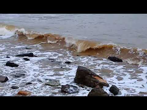 Любите друг друга.