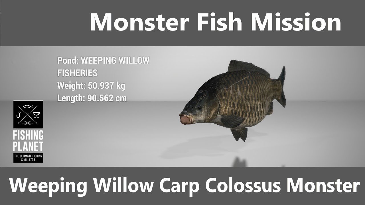Fishing Planet, Monster Fish Mission, Weeping Willow Carp Colossus ...