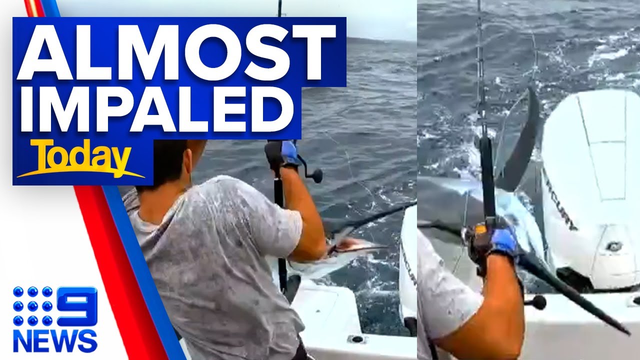 Terrifying moment huge marlin launches and almost impales fisherman | 9 ...
