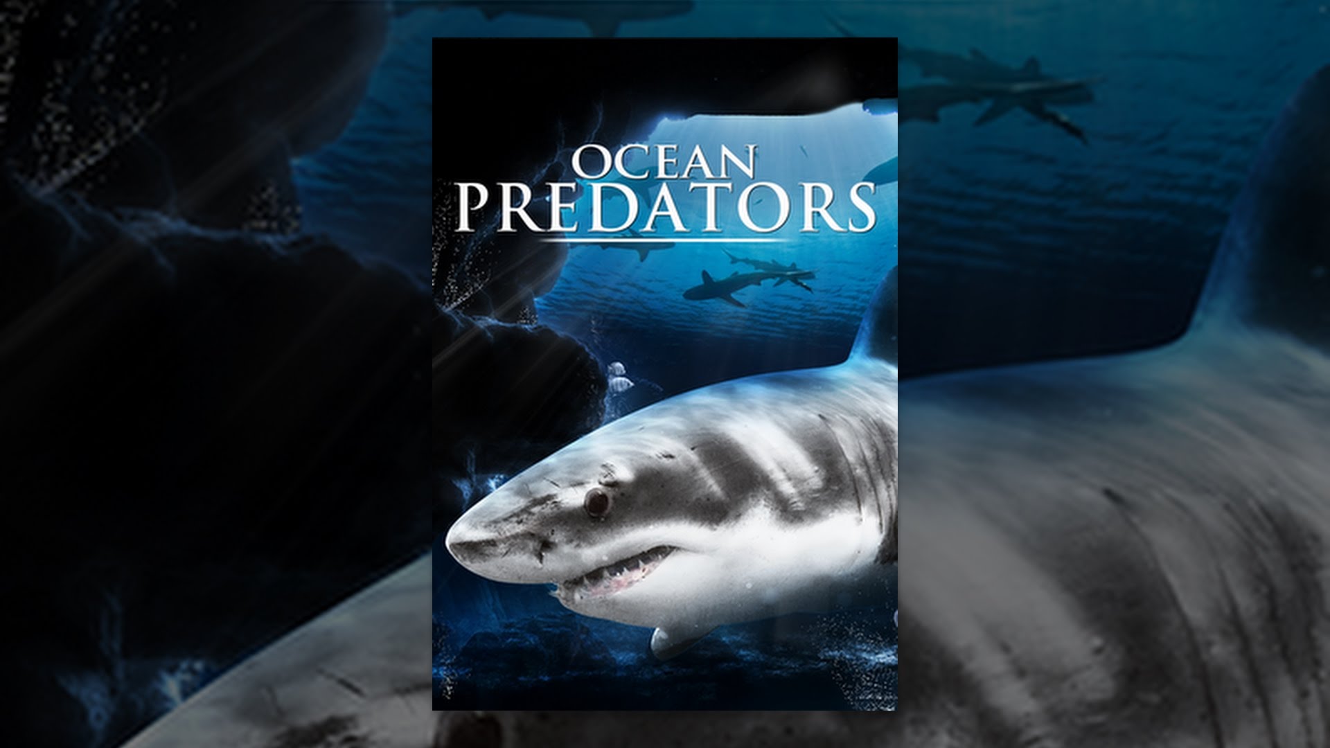 Ocean Predators - YouTube