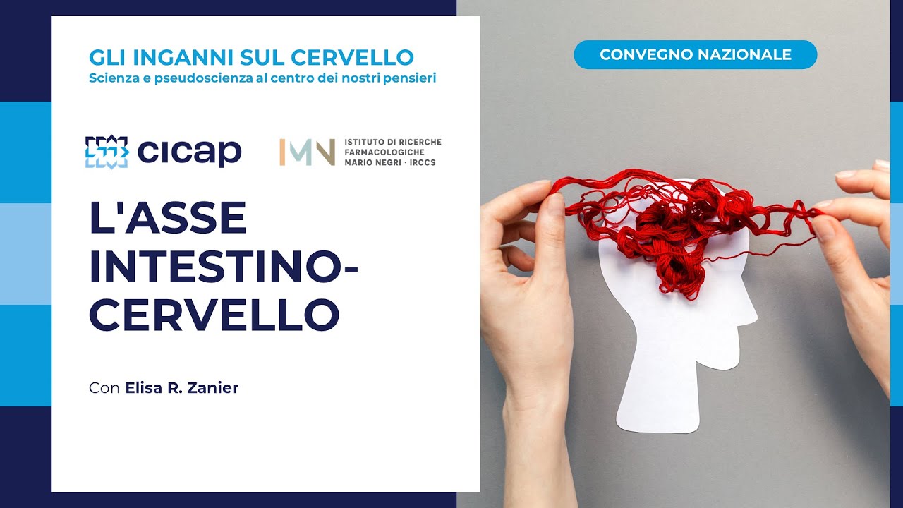 L’asse intestino-cervello - con Elisa R. Zanier - YouTube