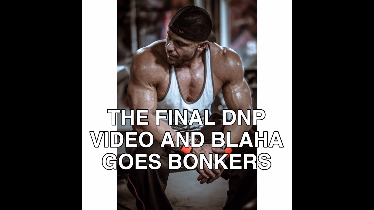 FINAL DNP Video and Reaction to Jason Blaha Going Bonkers | Tiger ...
