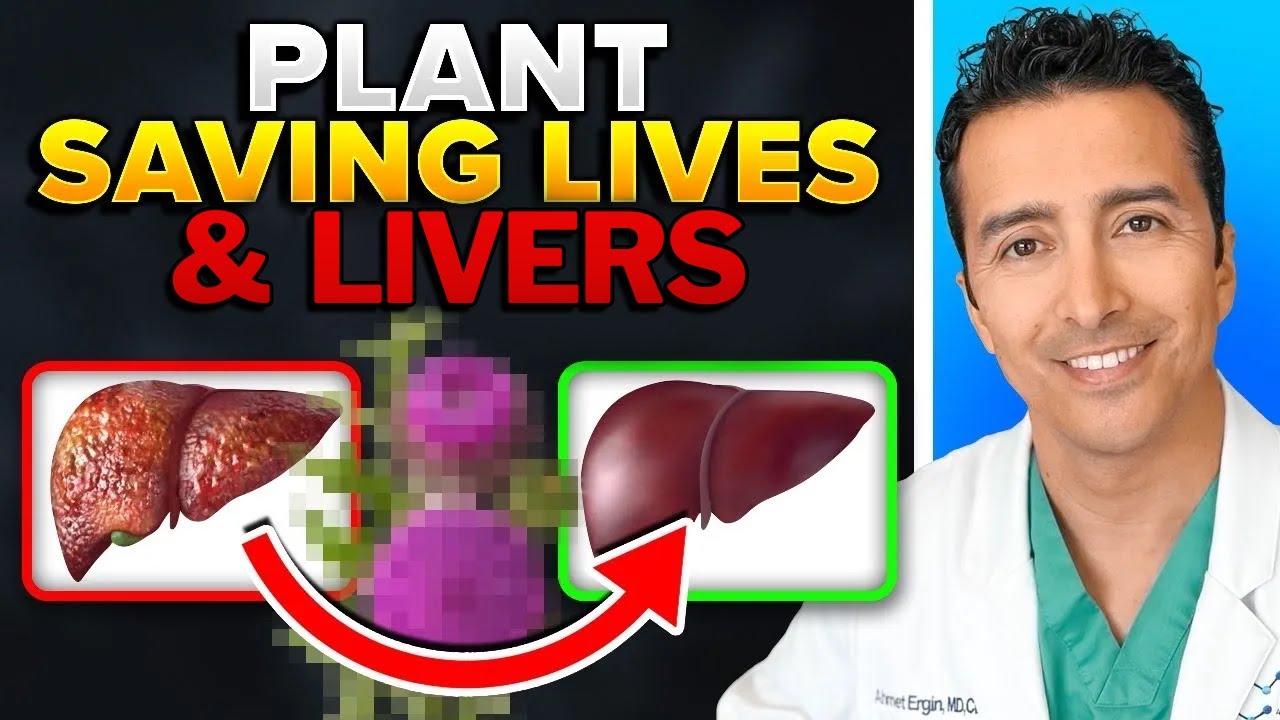 #1 Marvelous Plant That Saved Many Lives & Livers! - YouTube