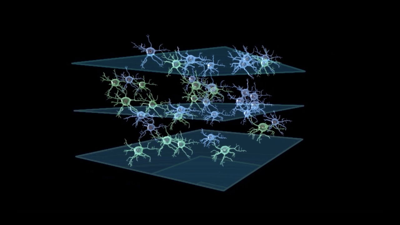 Multiplane Imaging - Inscopix 2019 - YouTube