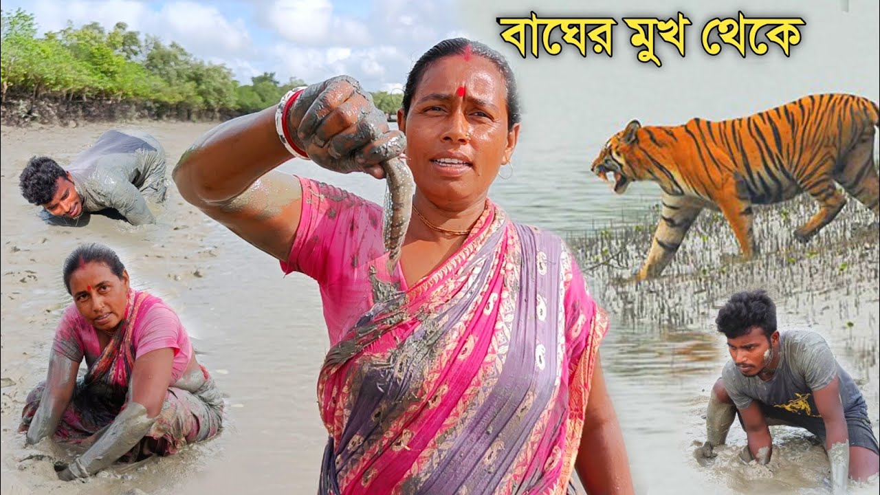 সুন্দরবন নদীর চরে মেনু গুলে ধরলাম !! Sundarban lifestyle vlog - YouTube