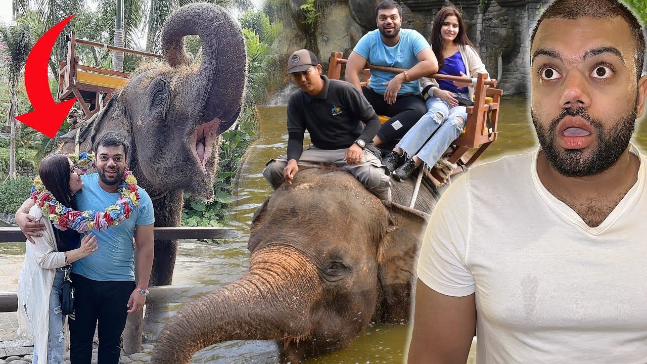 Elephant Ne Humein Shadi Ka Haar Pehna Diya 😍 | Scary Elephant Ride In ...