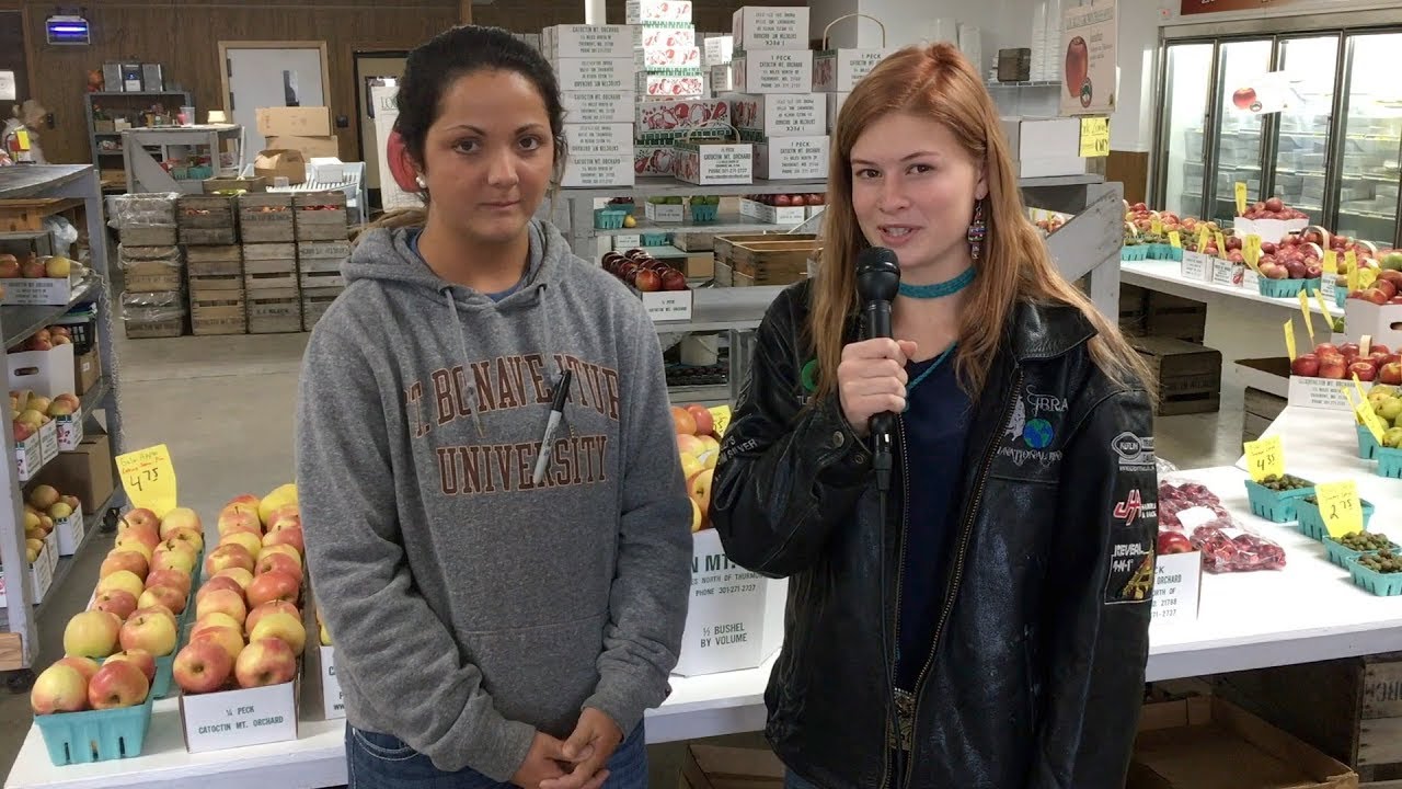 Sarah Catoctin Mountain Orchard Interview - YouTube