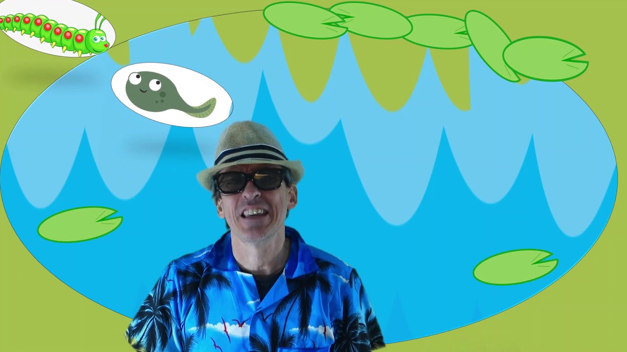 The Tadpole and Caterpillar Song - A Fun Song for Kid's on 'New ...