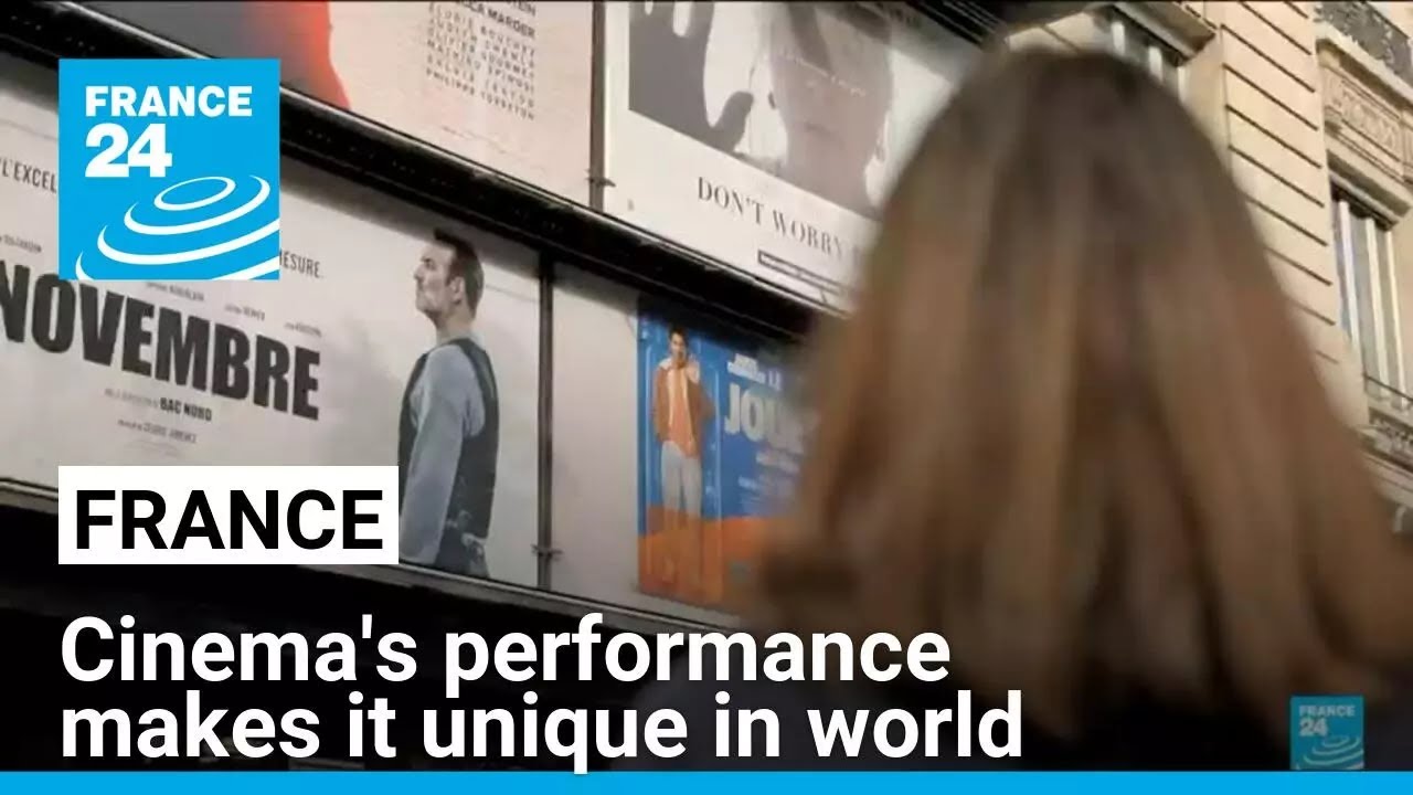 French 2024 cinema's performance makes it unique in world • FRANCE 24 ...