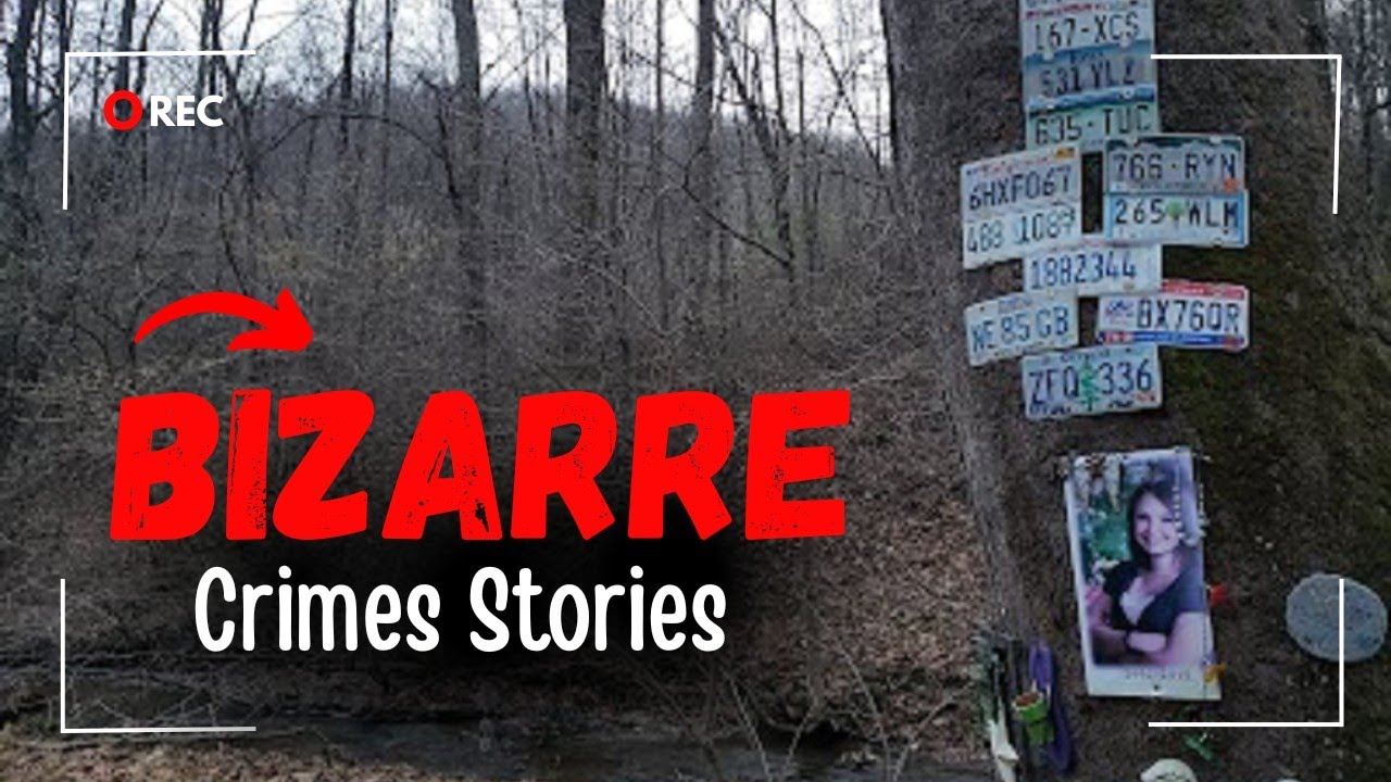 4 True Bizarre Crimes Stories - YouTube