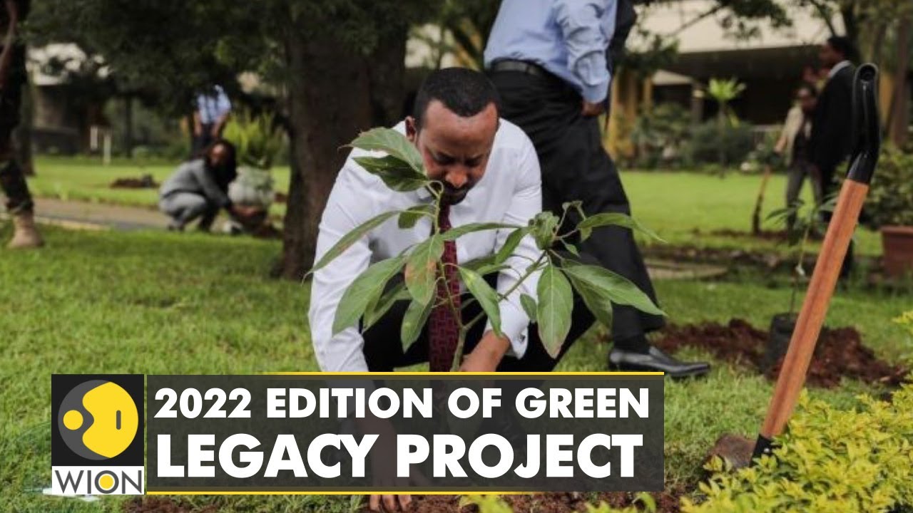 Ethiopian PM plants trees for 'Green Legacy' project | Campaign to ...